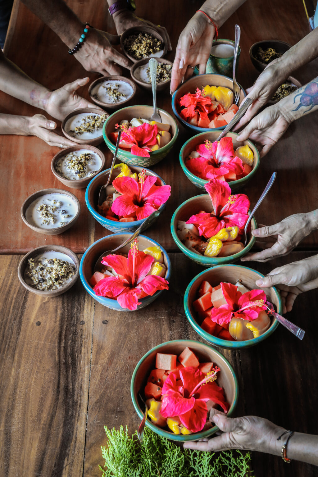 Raw Food Chef Certificate | Online Course | Pachavega